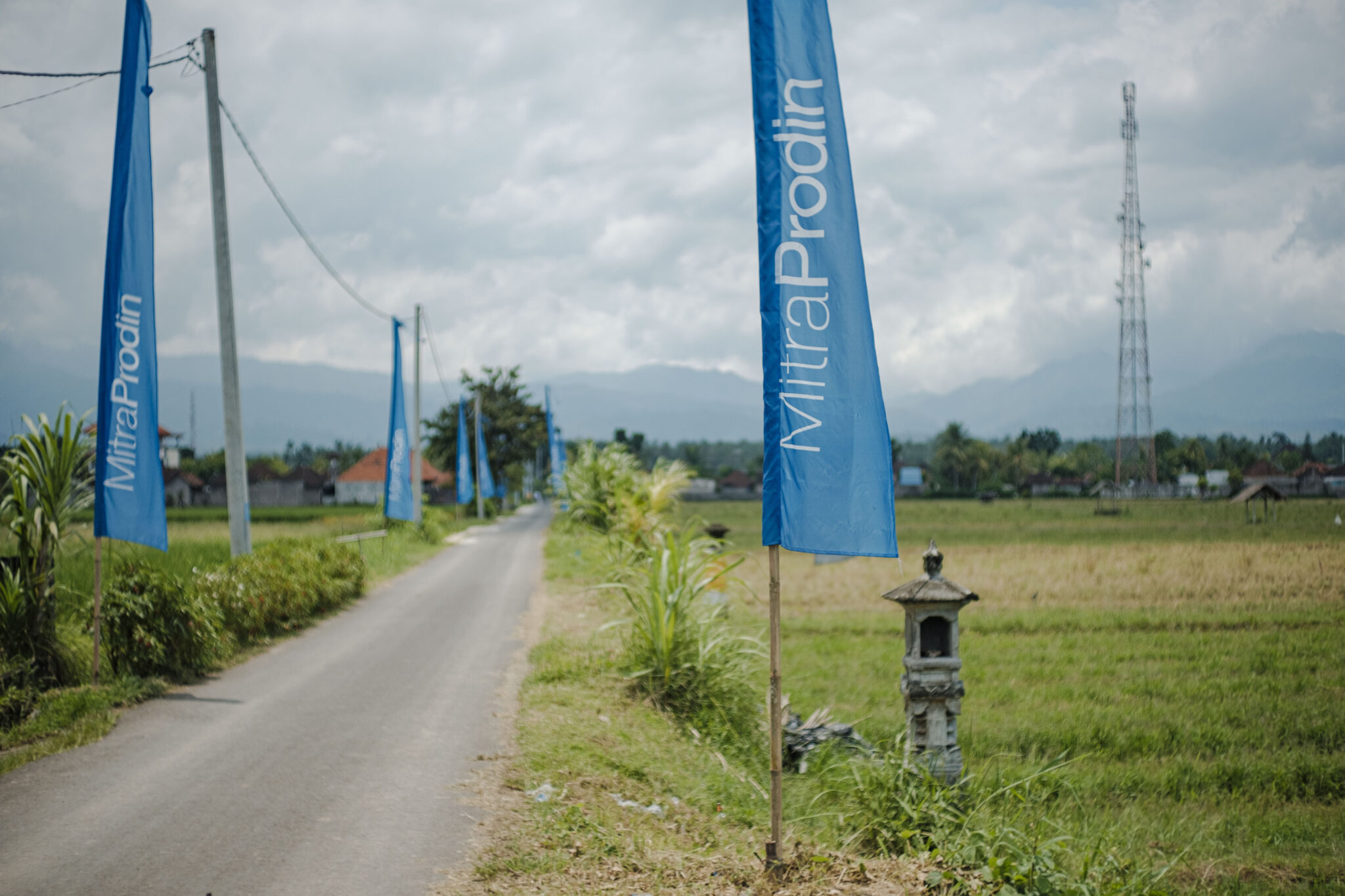 New pre-rolled cone manufacturing facility: Groundbreaking ceremony