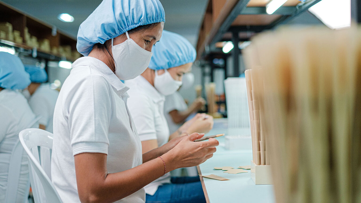 The People Behind the Pre-Rolled Cones: How Mitra Prodin’s Mission ...